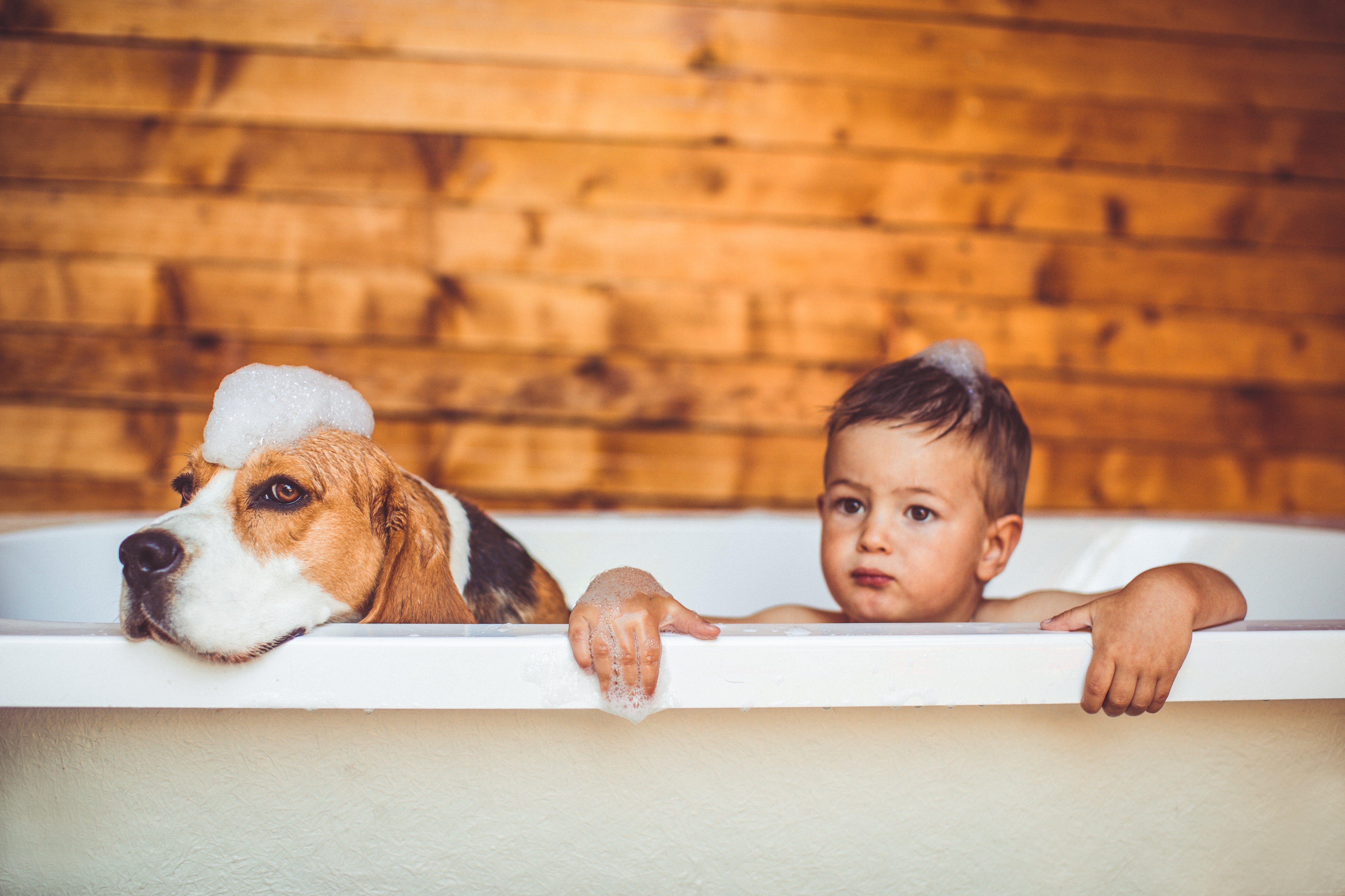 Just off the American Medical Journal press! How Growing Up with Dogs ...